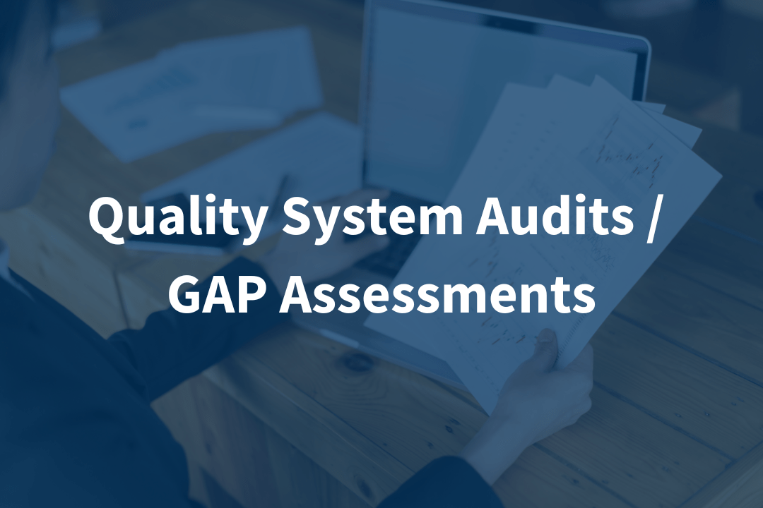 Quality System Audits / GAP Assessments — Medvacon Life Sciences LLC